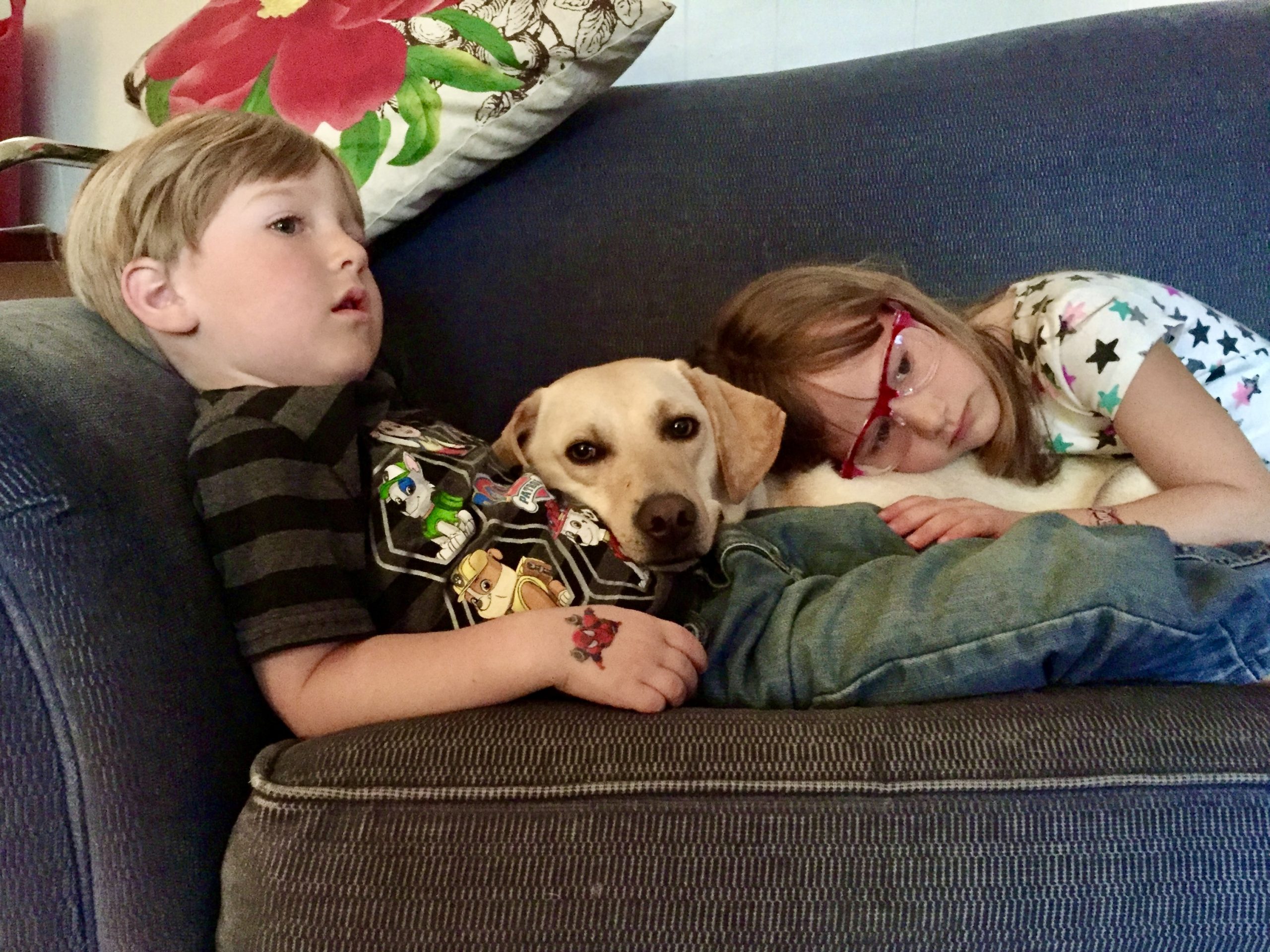 Is there a lesson from a dying dog?