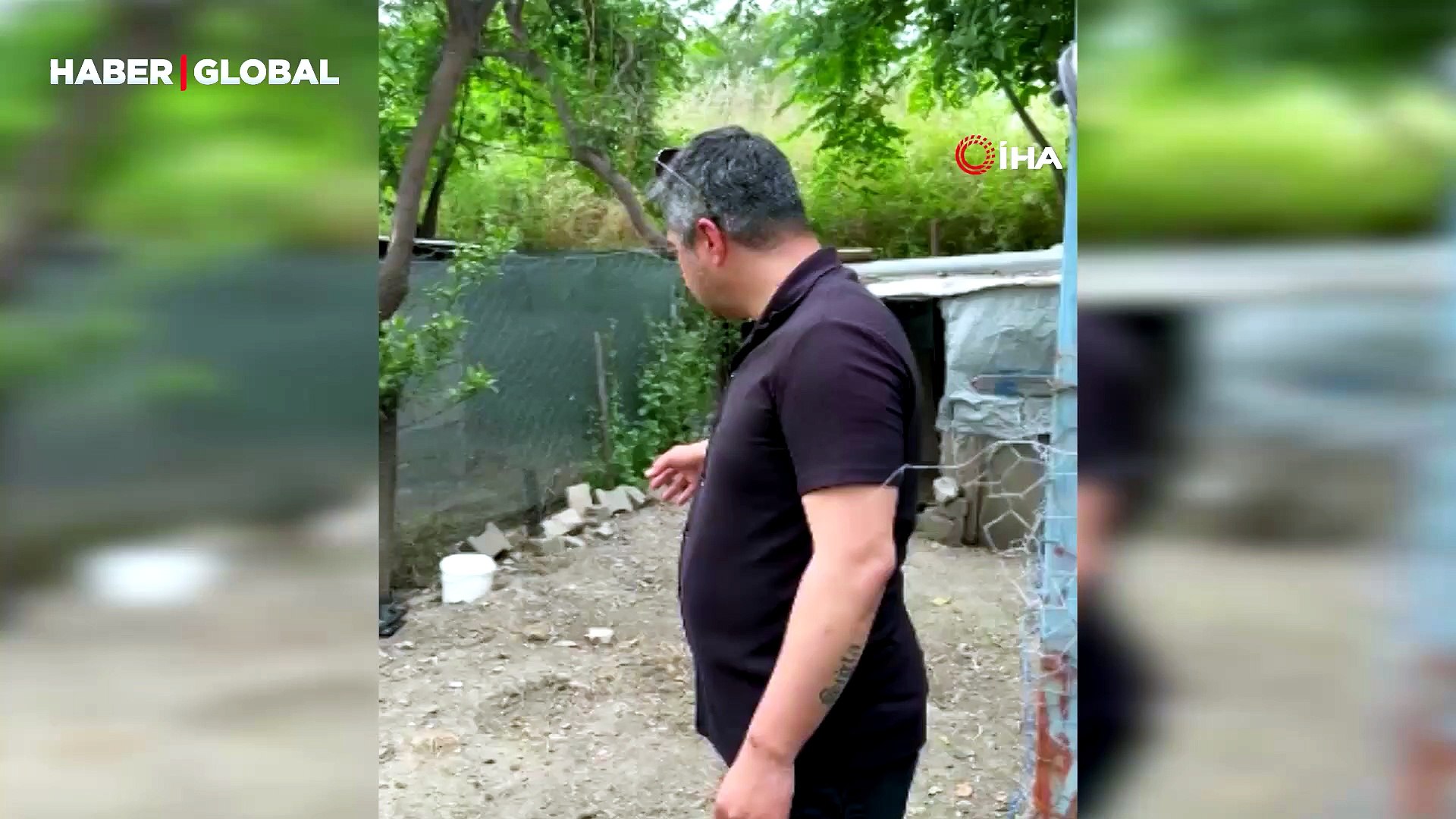 Kümese giren 2 metrelik kara yılanı yakalarken elinden böyle ısırıldı
