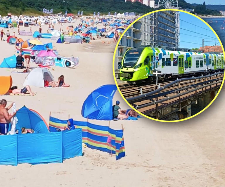 Wyjazd nad morze będzie łatwiejszy. Dużo pociągów nad Bałtyk w nowym ...