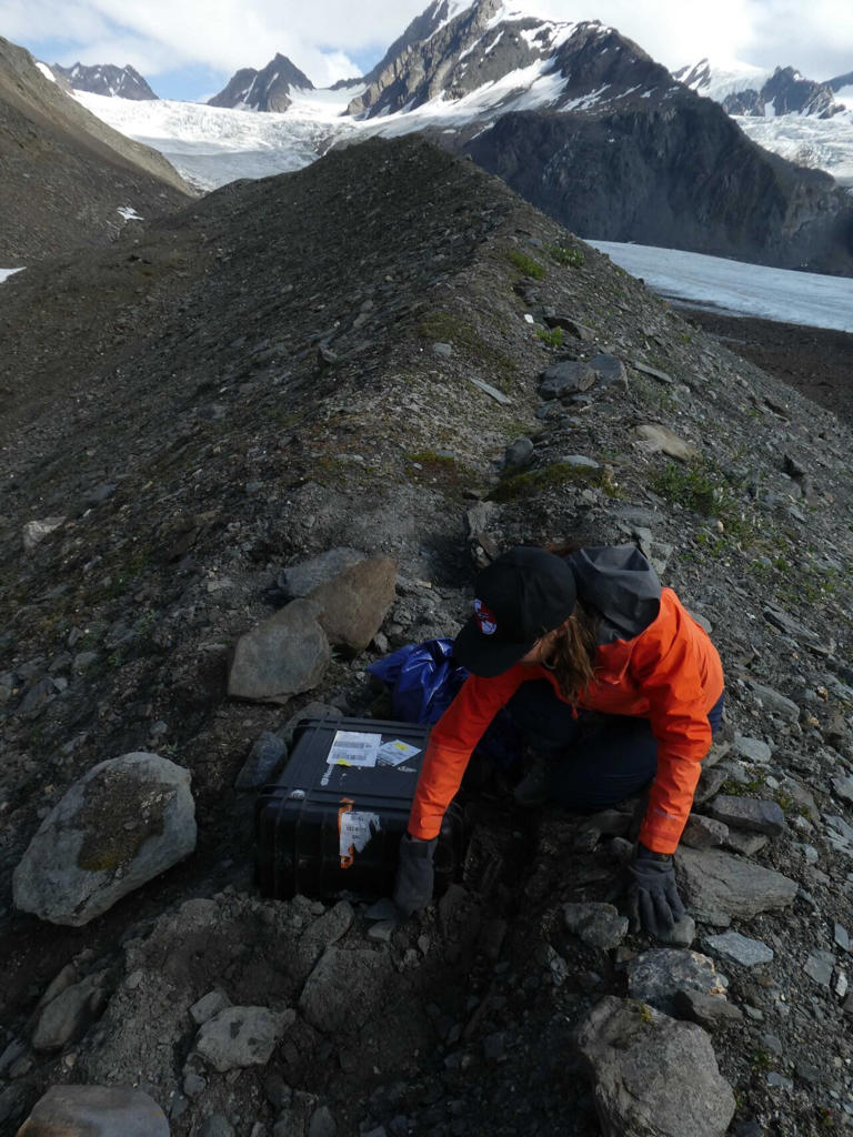 Machine learning uncovers 1,750 quakes tracing 250-kilometer edge of ...