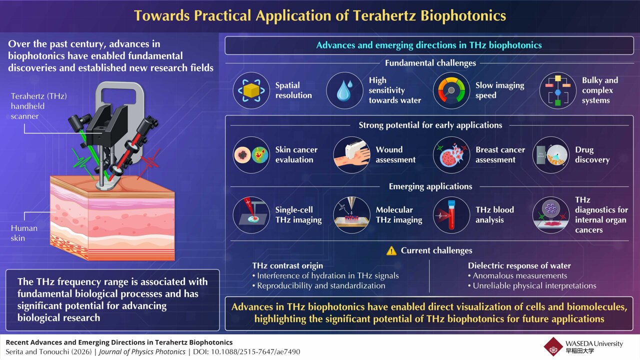 Terahertz biophotonics: Understanding the path towards practical ...