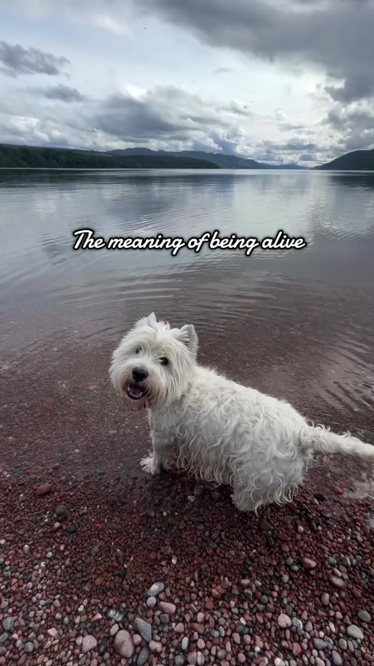 Every moment with Forri shows life’s simple joys