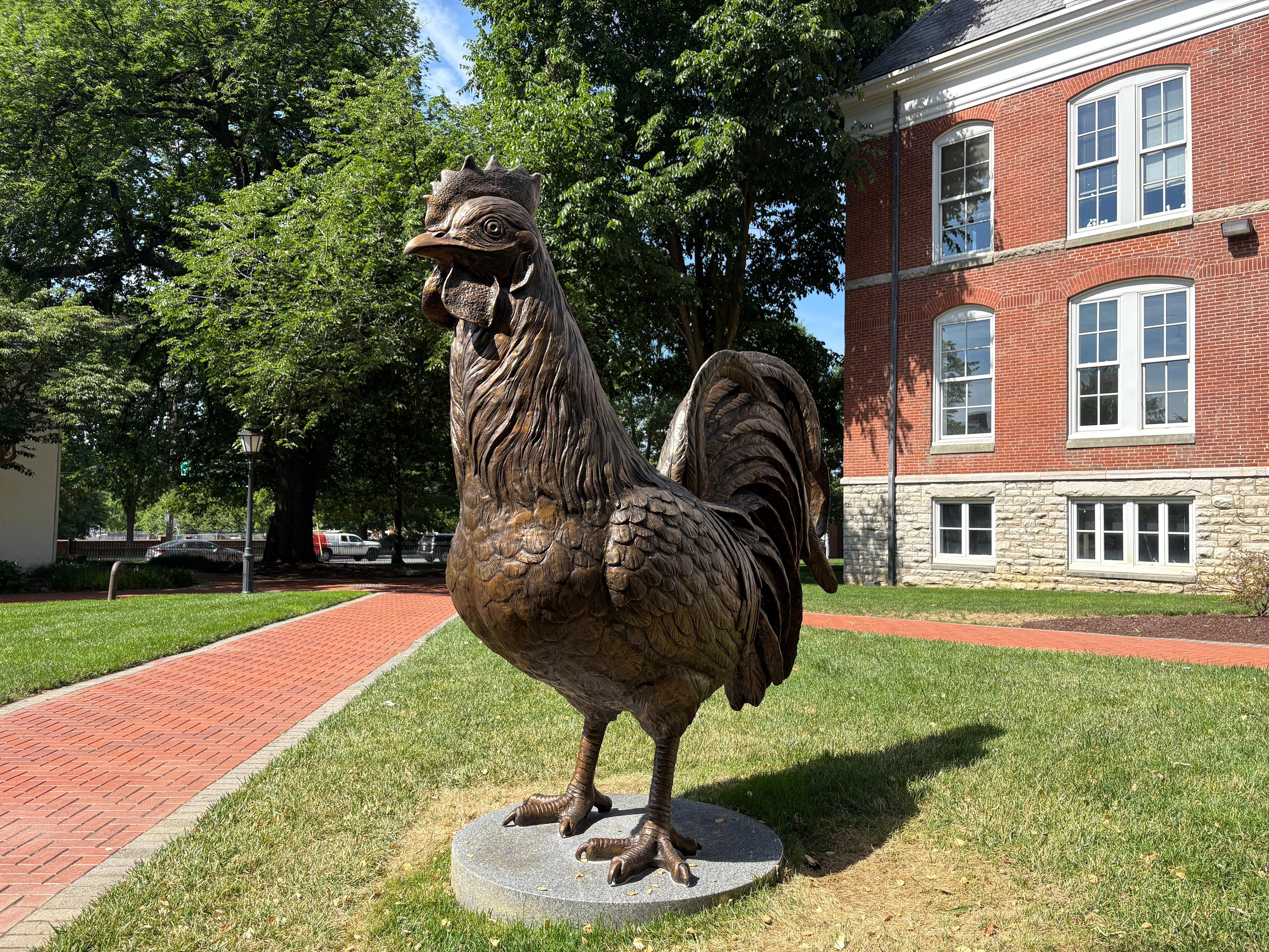UD’s Blue Hen Forever statue becomes a new campus landmark