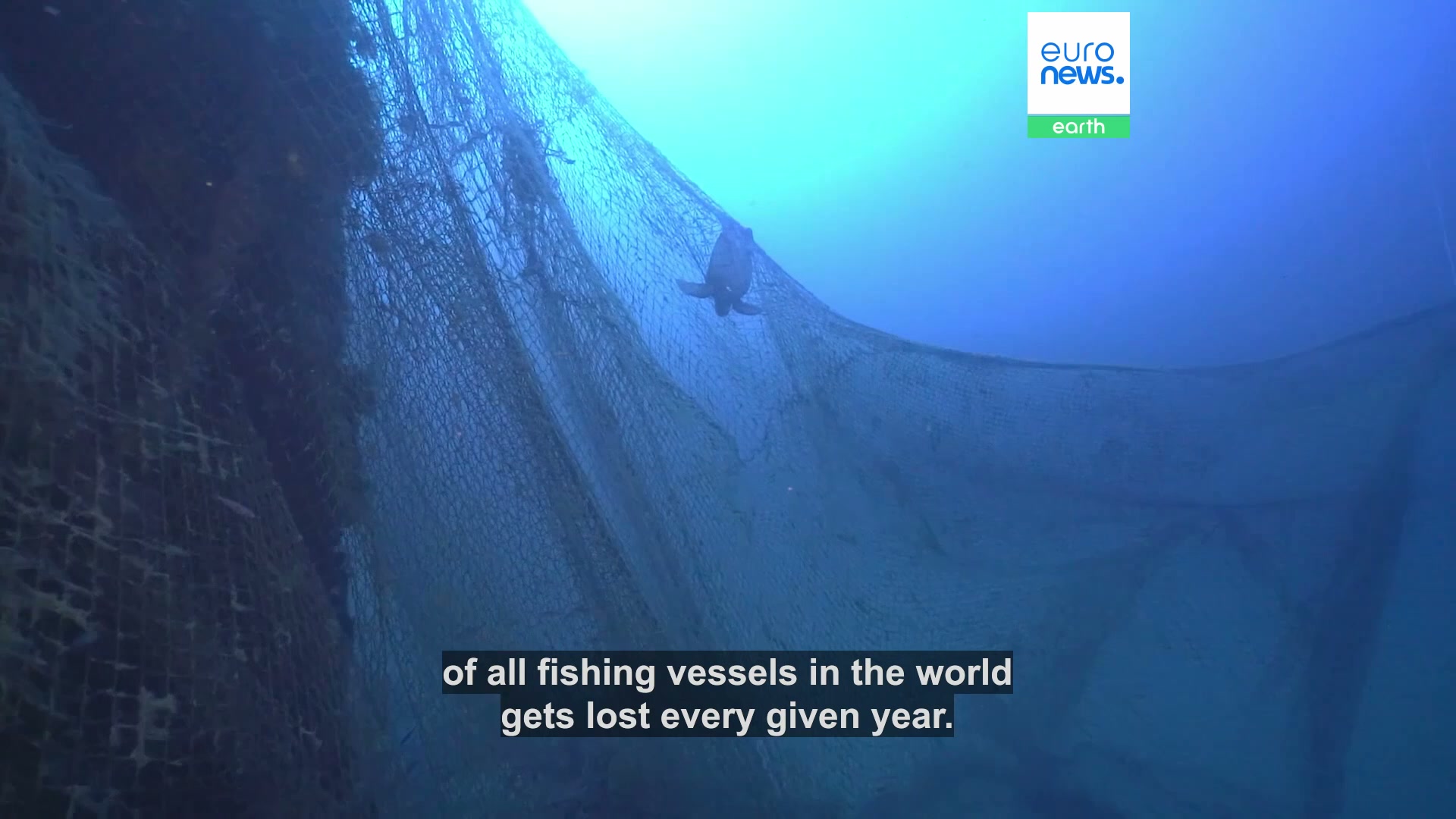 Divers made the first video ever of this shark in the Med - then got ...