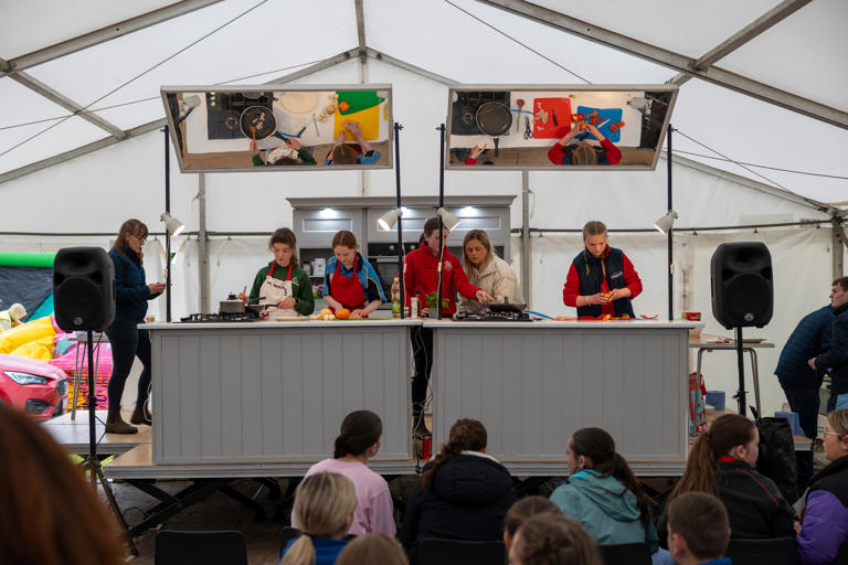 Share Energy sponsors Northern Ireland agricultural shows as rural ...