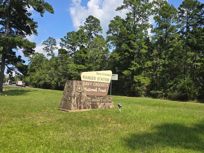 9 scenic forest escapes everyone in Texas should wander through