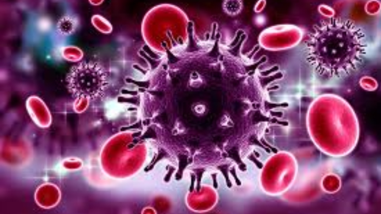 Karnataka on alert as HIV/AIDS cases witness major spike, male-to-male ...