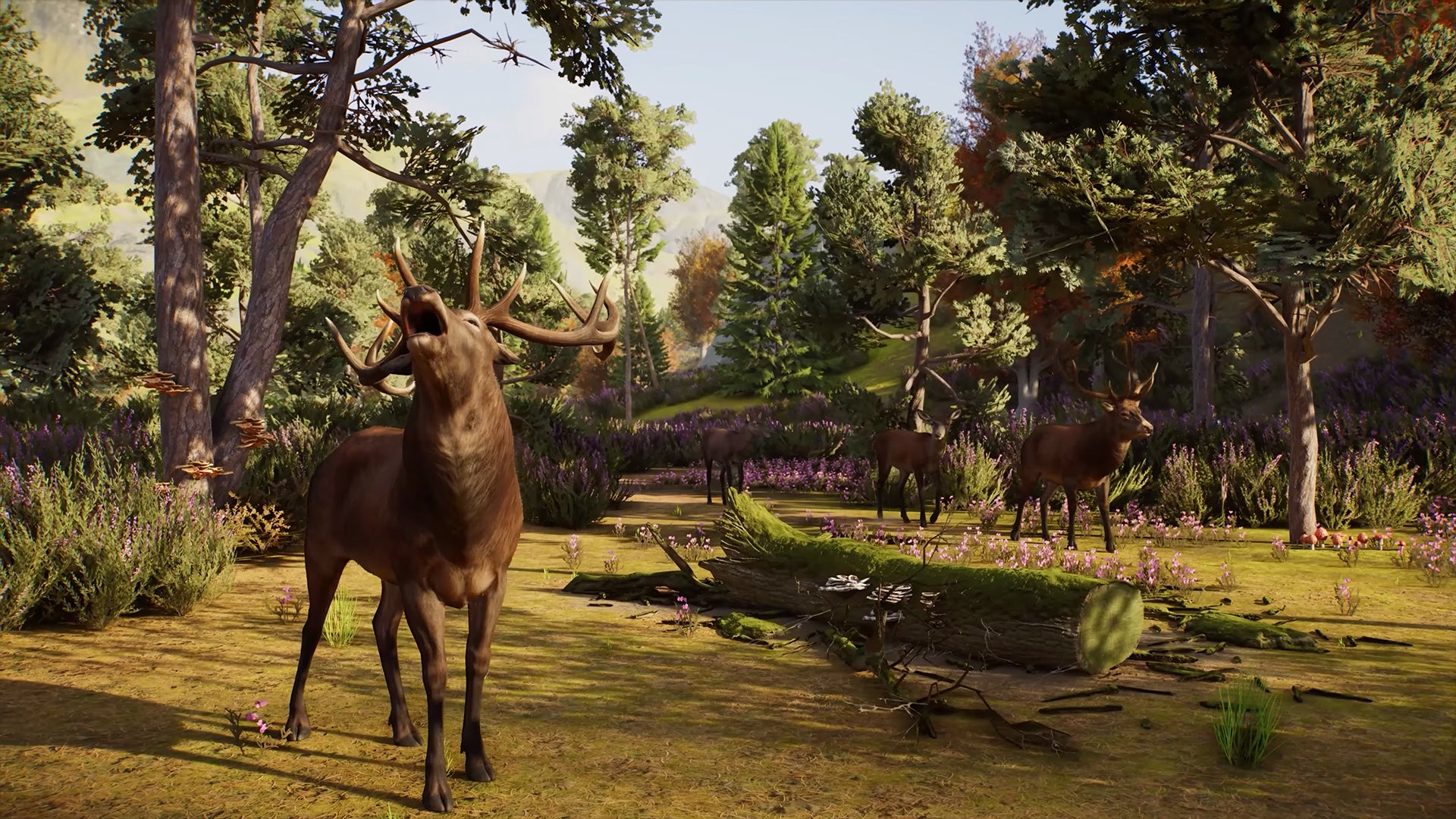 Planet Zoo 2 - Official gameplay trailer