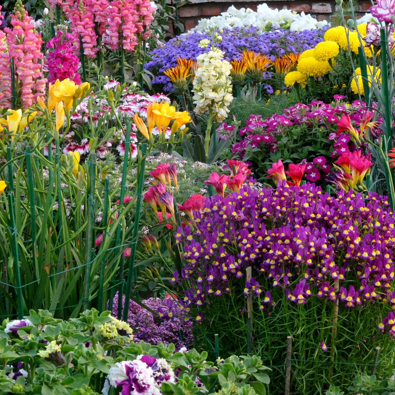 I've tried countless slow watering hacks – these are the 3 I trust to ...