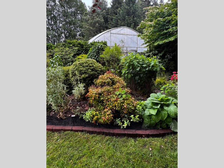 🌱 Patch AM: What investigators say happened before a Puyallup officer ...