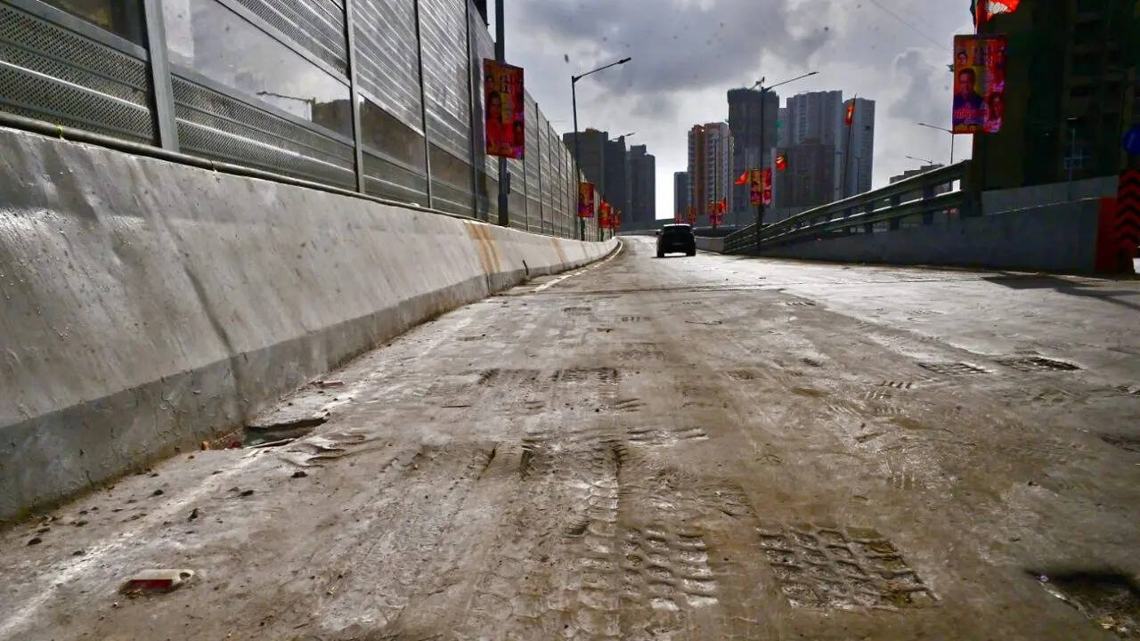 Rs 248-crore Mumbai's Mrinaltai Gore flyover triggers public anger as ...