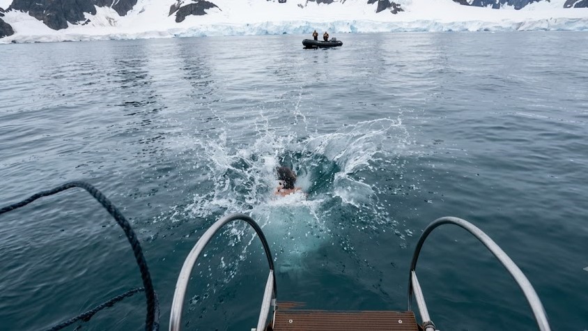 Una biologa stava facendo snorkeling in Antartide - poi qualcosa la ...