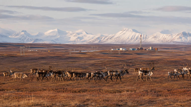 Arctic refuge oil lease sale draws few bidders as industry interest ...