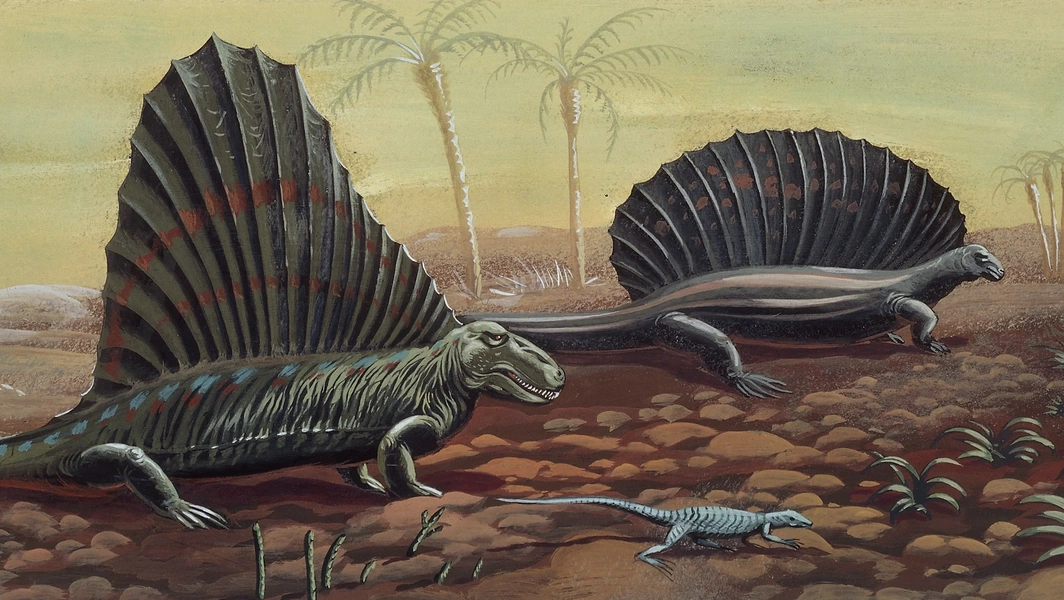 The wild history of dinosaur armor evolution