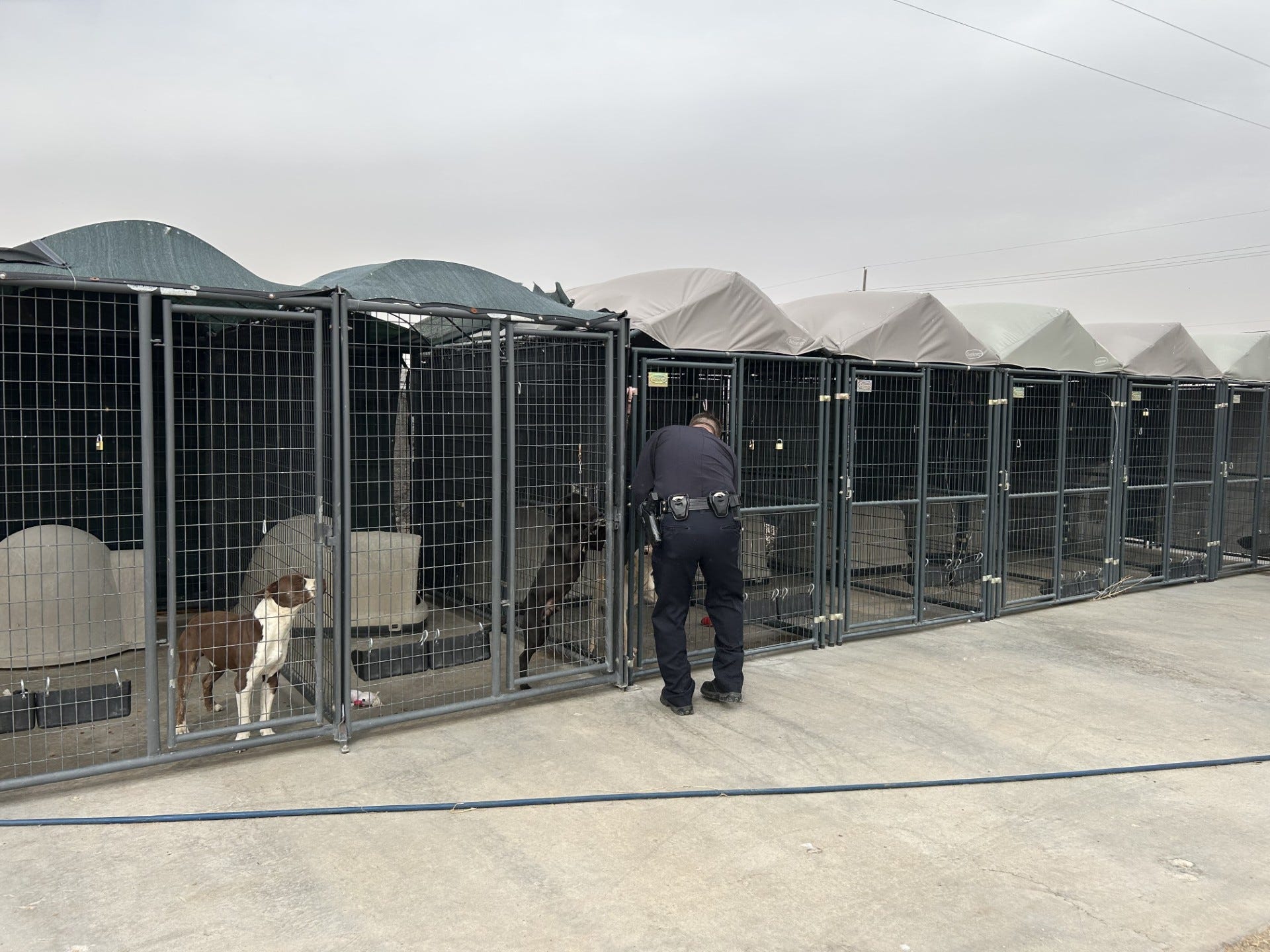 City of Canyon prepares plans for new animal control facility