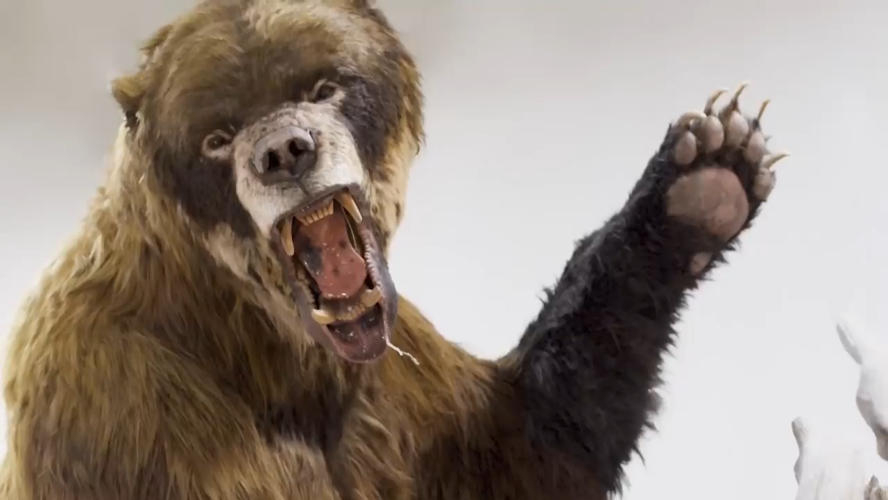Vor nur 12.000 Jahren streifte dieses Monster noch durch die Landschaft
