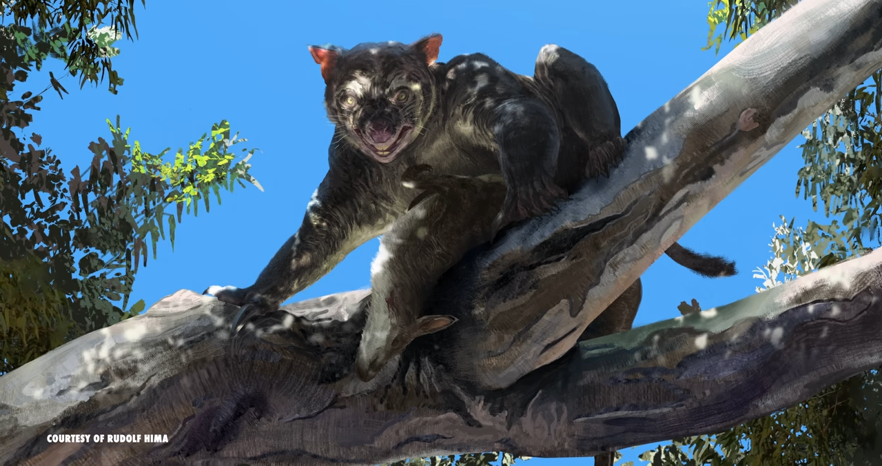 Australia's deadliest predator wasn't a cat but it hunted like one