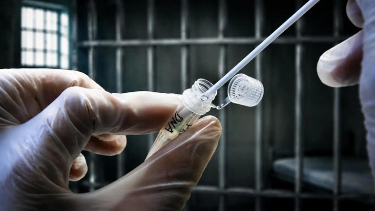 DNA evidence sends rapist to life behind bars two decades after crime