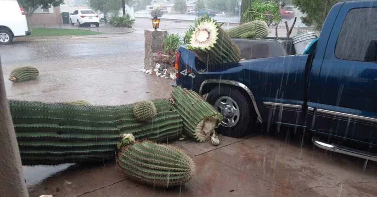 15 people who just couldn’t catch a break