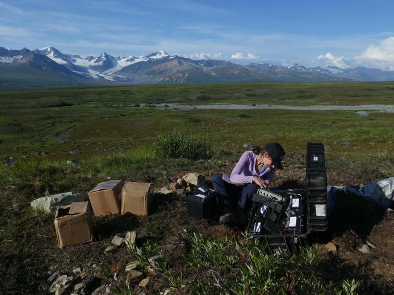 Machine learning uncovers 1,750 quakes tracing 250-kilometer edge of ...