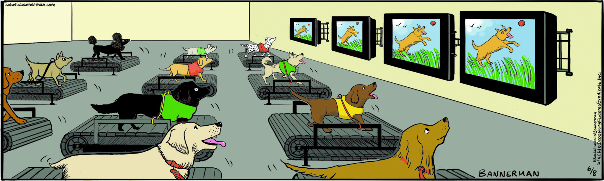 Six Chix by Bannerman, Xunise, Konar, Lawton, Patrinos & Piro