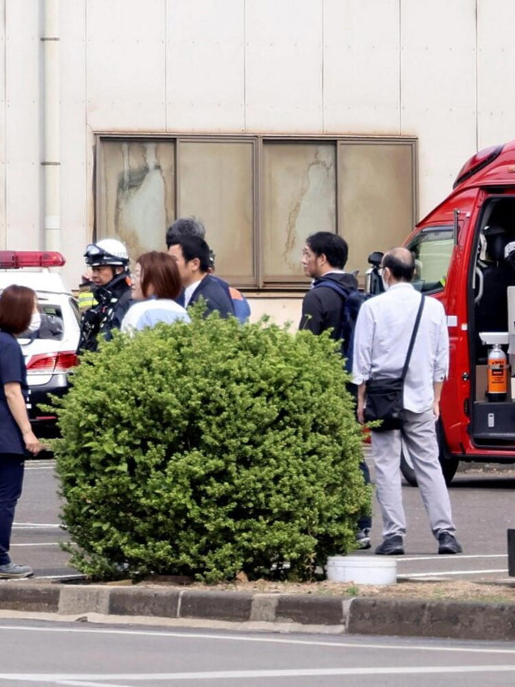Un orso ha fatto chiudere 100 scuole a Utsunomiya