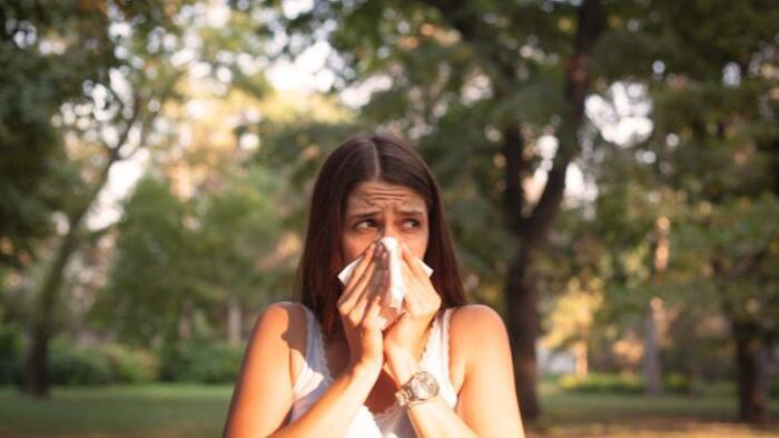 Sneezing spiritual meaning: Their symbolism based on the time of day