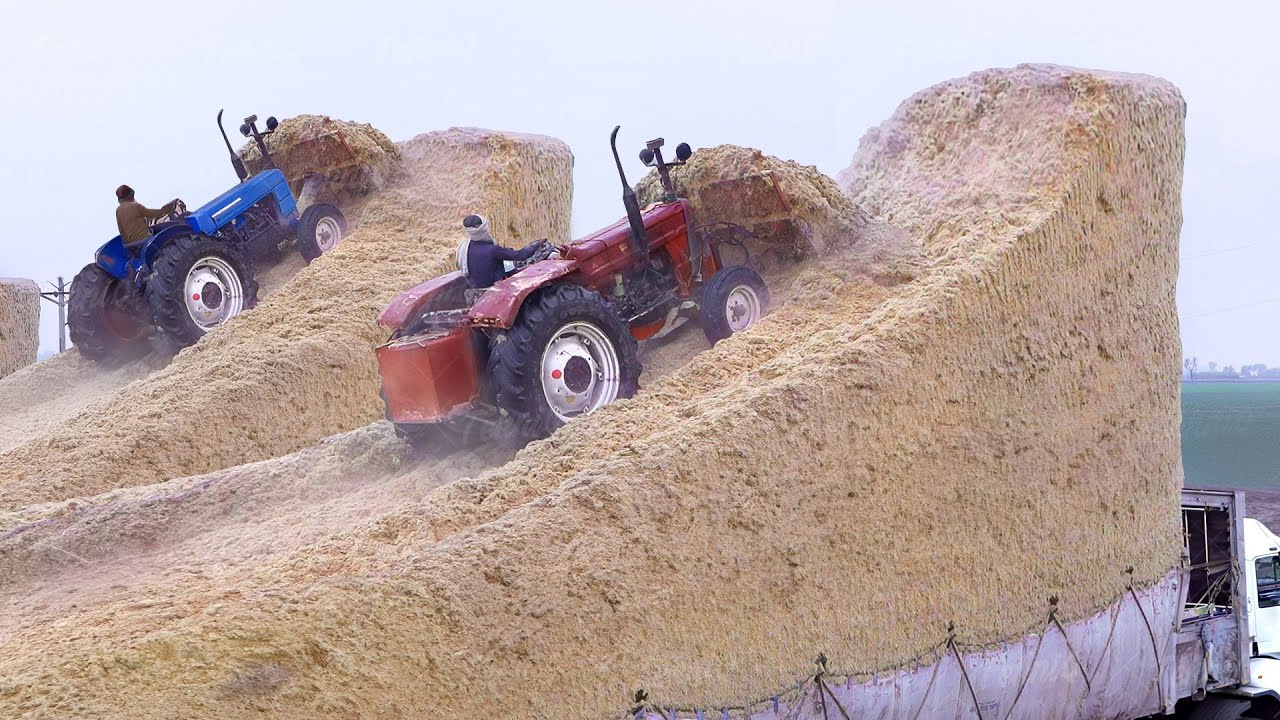 Extreme solution they found to load & transport tons of sugarcane waste