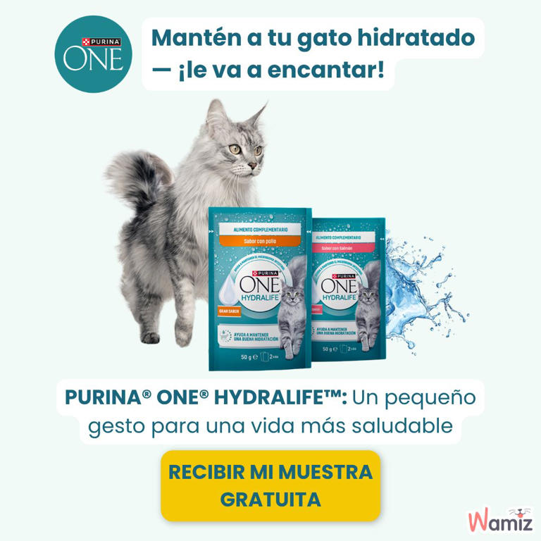 Prueba gratis PURINA® ONE® HydraLife de pollo y salmón con tu gato