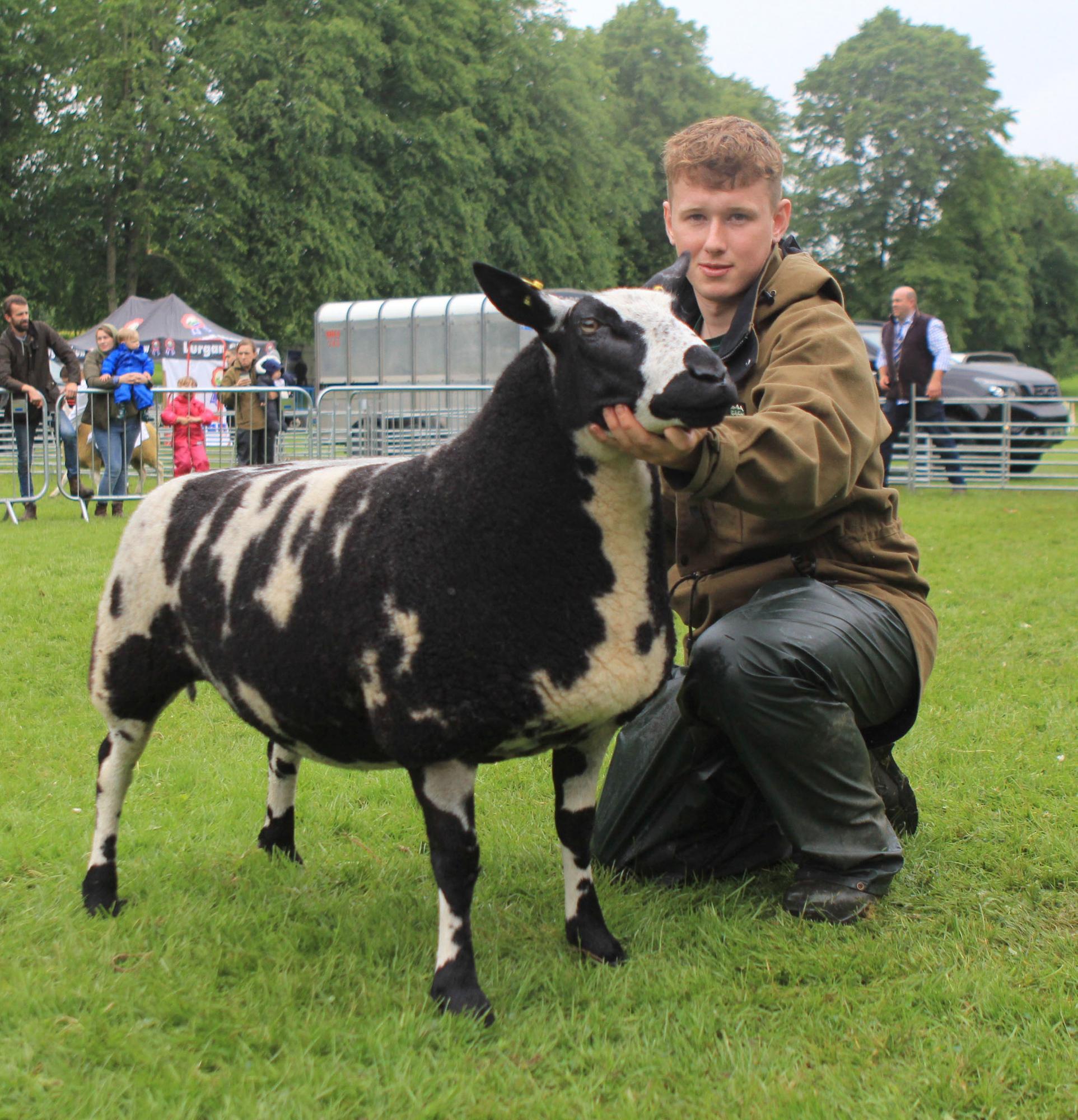 Lurgan Show – a tremendous showcase for livestock excellence and ...