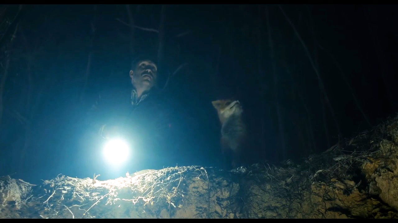 The Fox - trailer (OV) HD