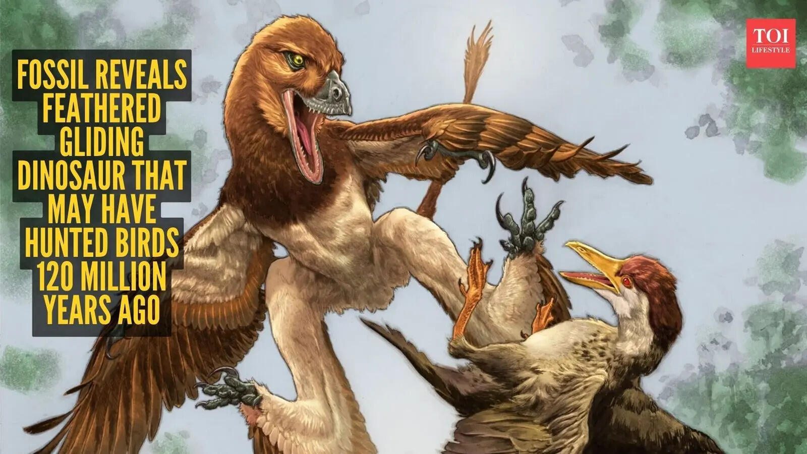 Fossil reveals feathered gliding dinosaur that may have hunted birds ...