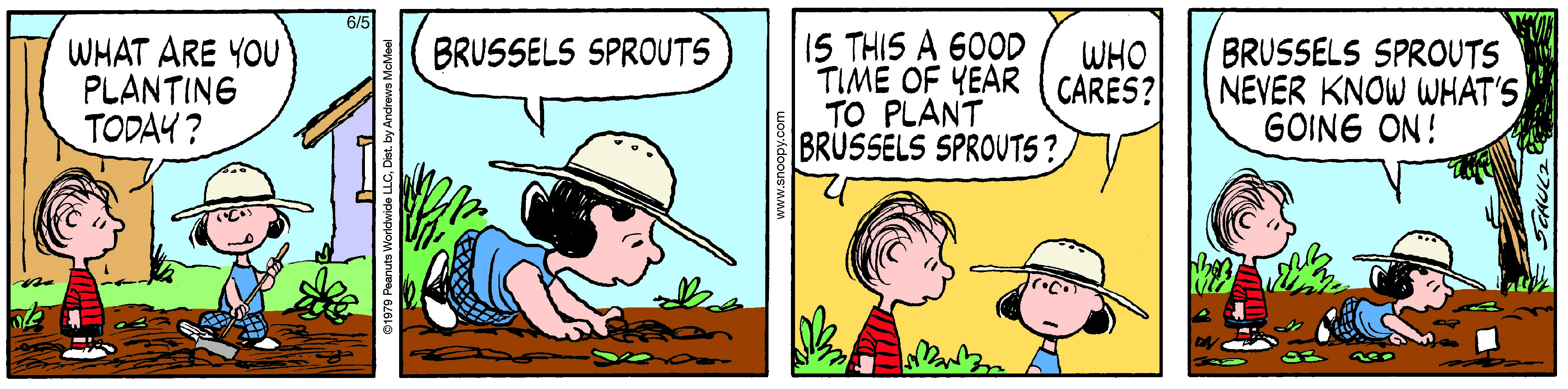 Peanuts by Charles Schulz