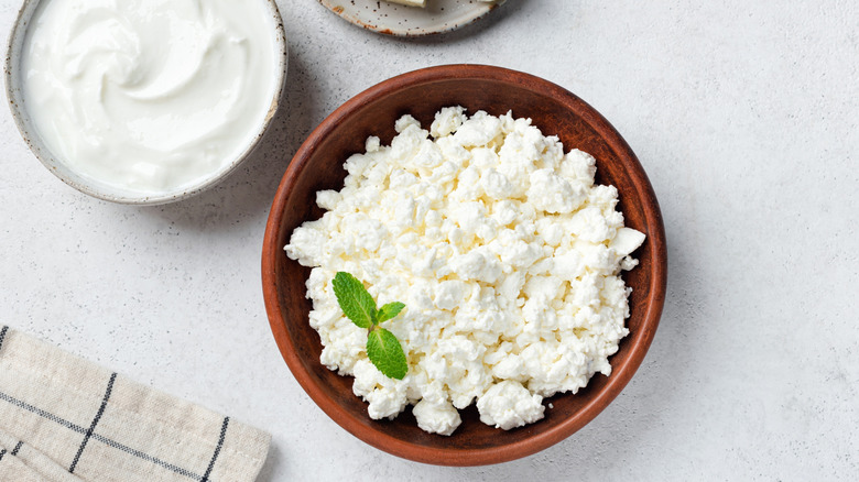 Cottage cheese vs Greek yogurt: Which ingredient has more protein?