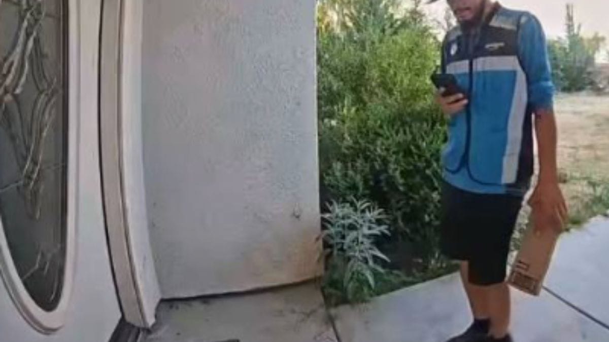 Delivery driver drops off a parcel and commits the most shocking theft ...