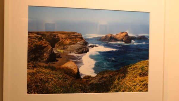'We the People' exhibition at Fairmount Water Works uses art to promote ...