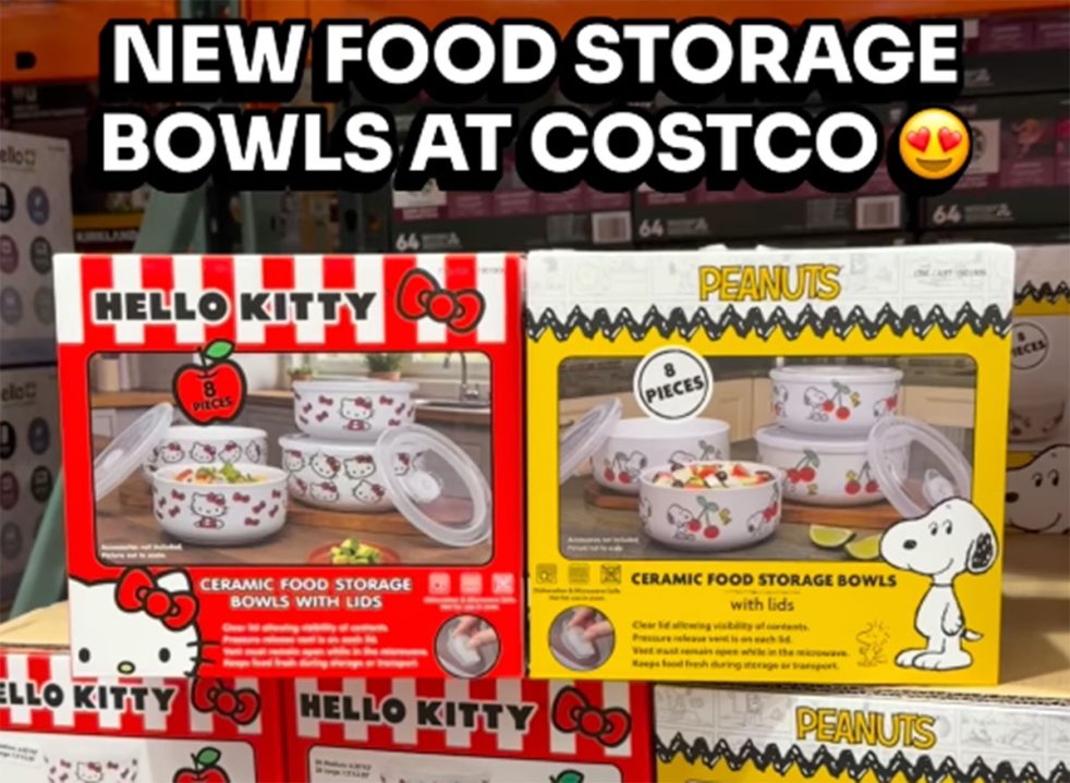 11 best new Costco organization finds hitting shelves this week