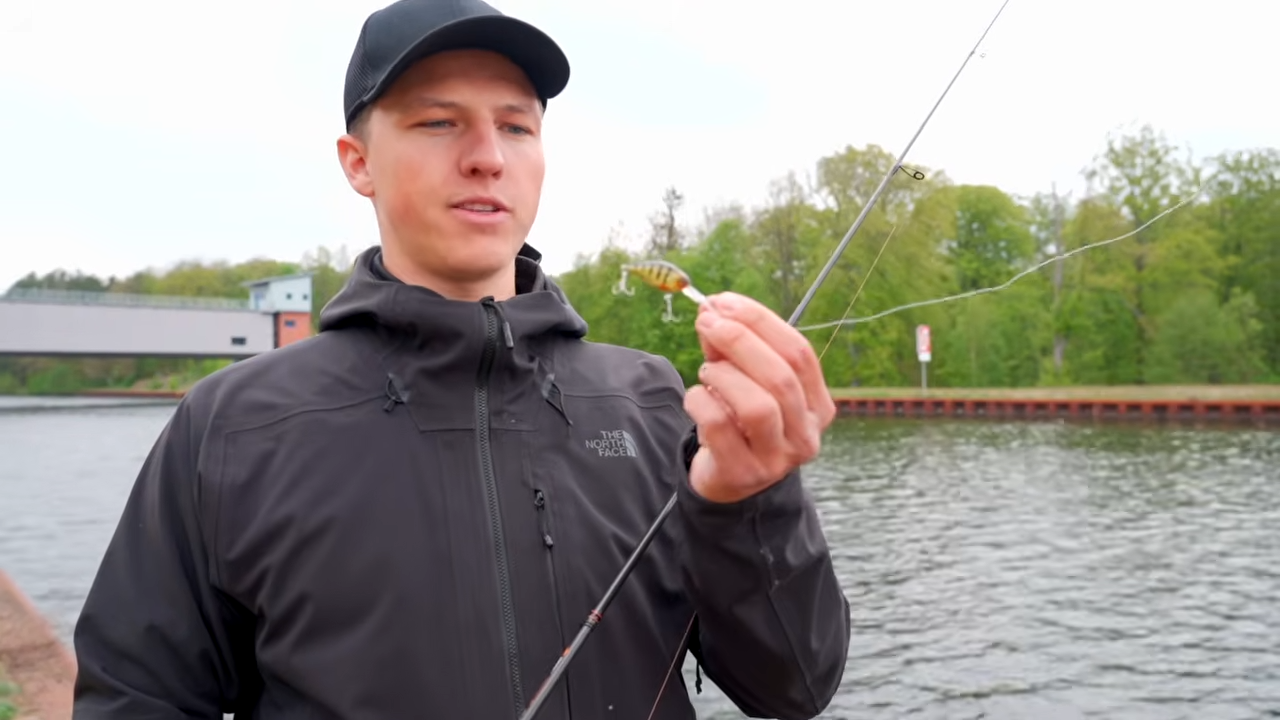 Vom Anfänger zum Barsch‑Profi – Tipps, Technik & Praxis