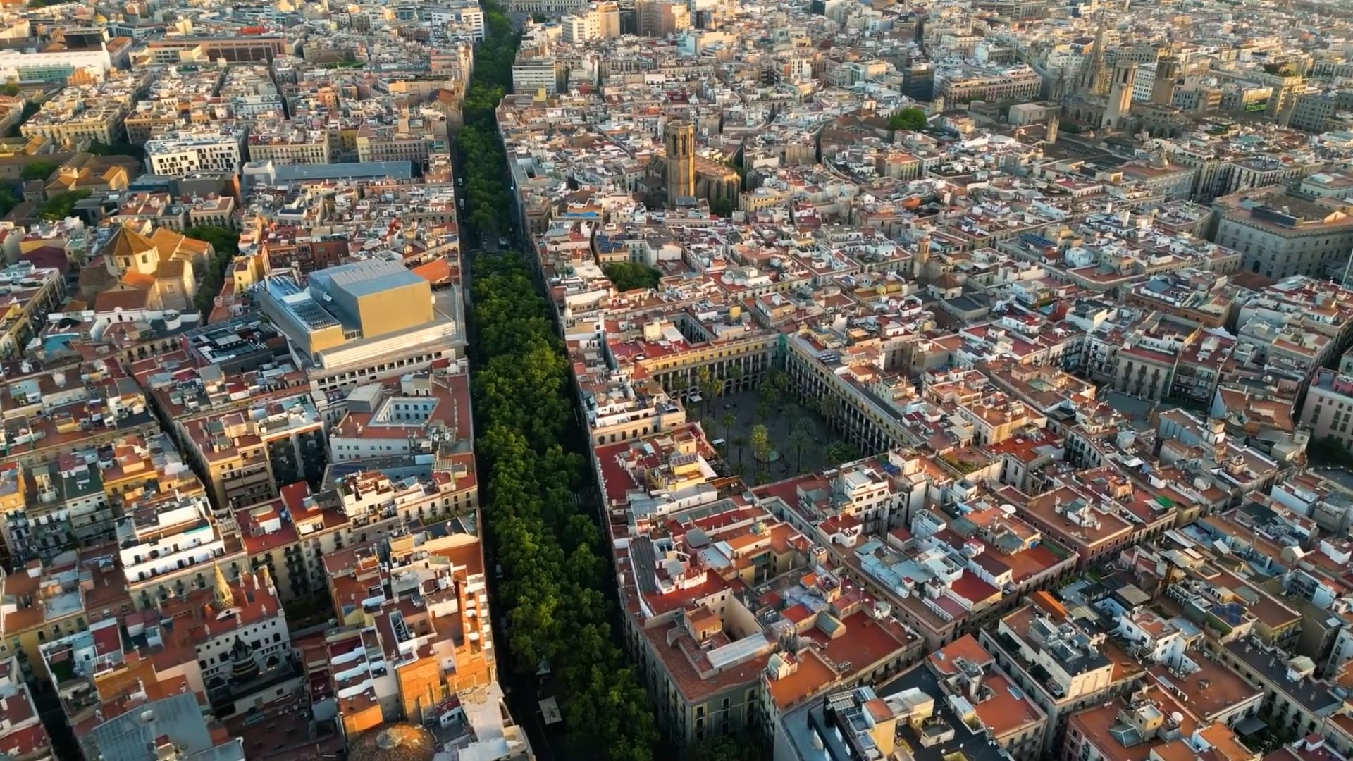 Dronetur langs La Rambla, Barcelonas mest berømte gate