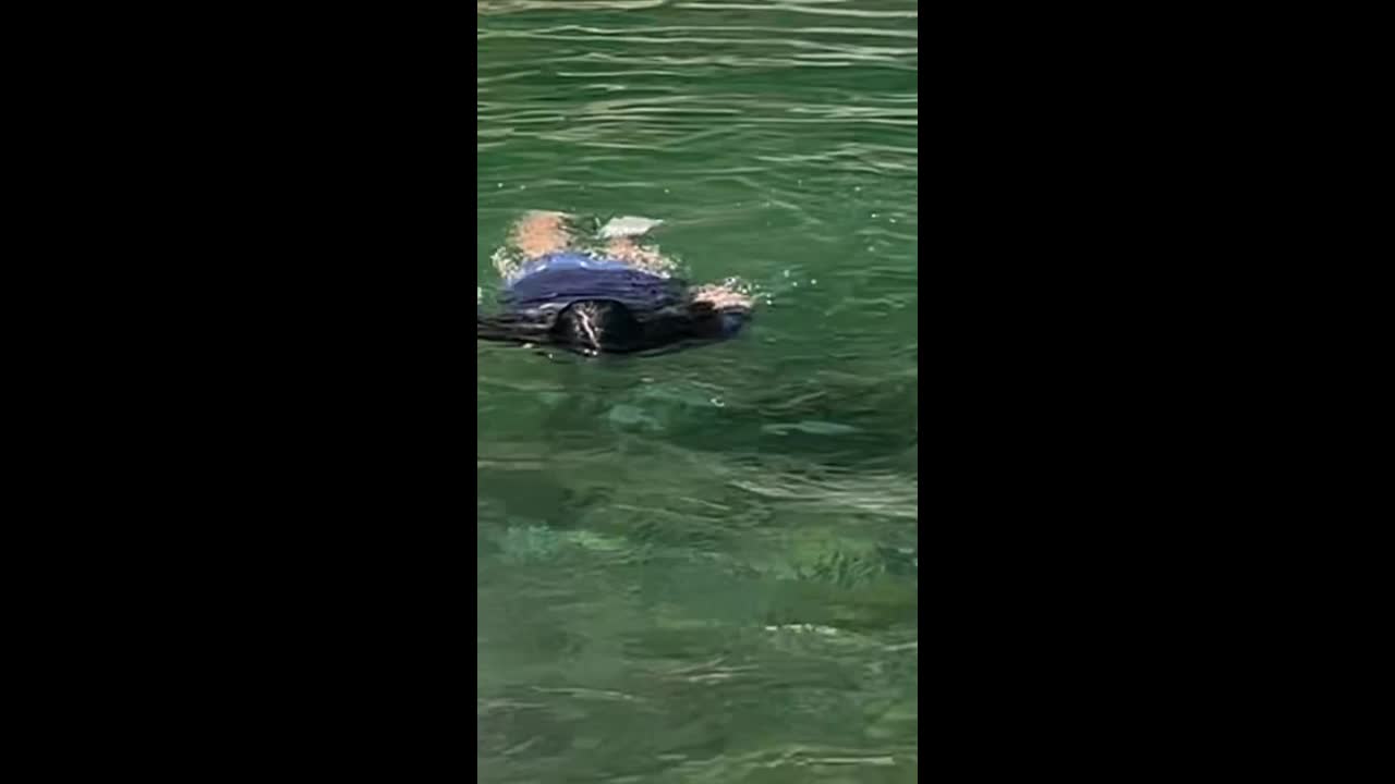 Swimmer casually floats along river as worshipper is baptised