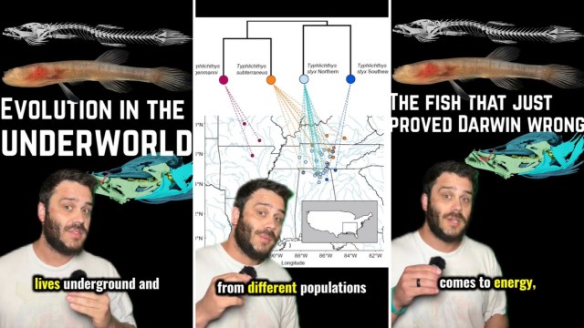 Blind cave fish beneath 3 southern states may have upended Darwin's ...