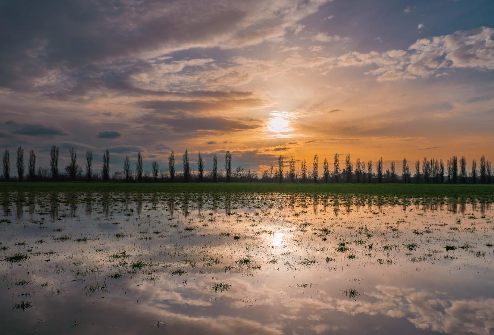 Torna la Milano Green Week: 5 giorni e e decine di eventi alla scoperta ...