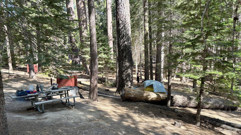 Avoid these 5 Yosemite campgrounds that left some parkgoers disappointed