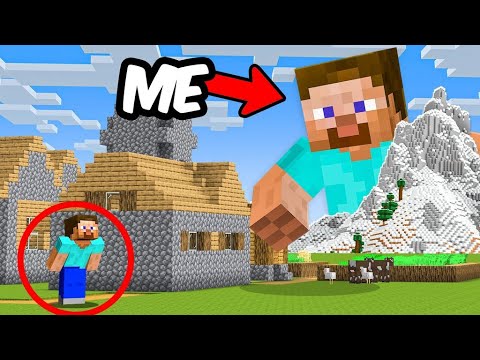 I cheated using a giant mod in Minecraft