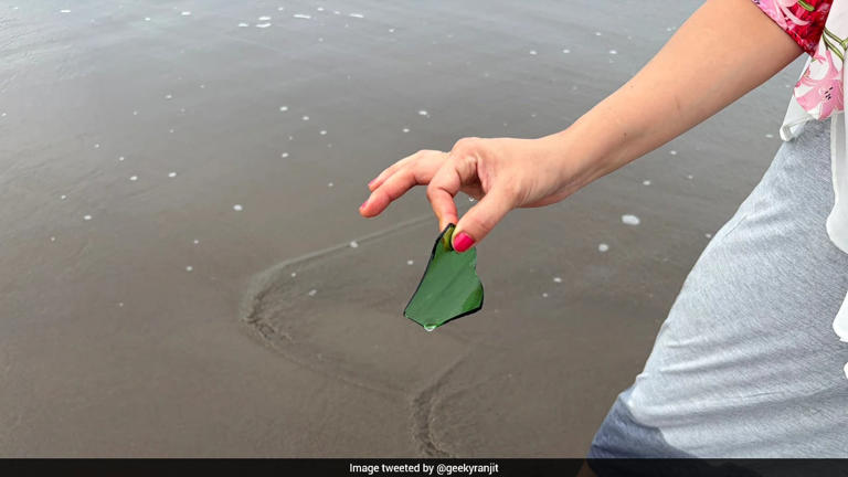 YouTuber finds broken glass buried at Goa's Morjim Beach, internet ...