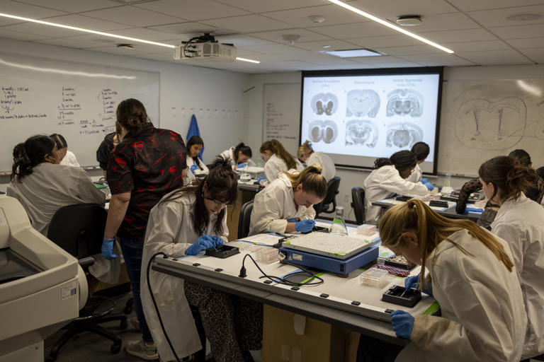 A 50-year-old partnership allows Haverford and Bryn Mawr students to ...