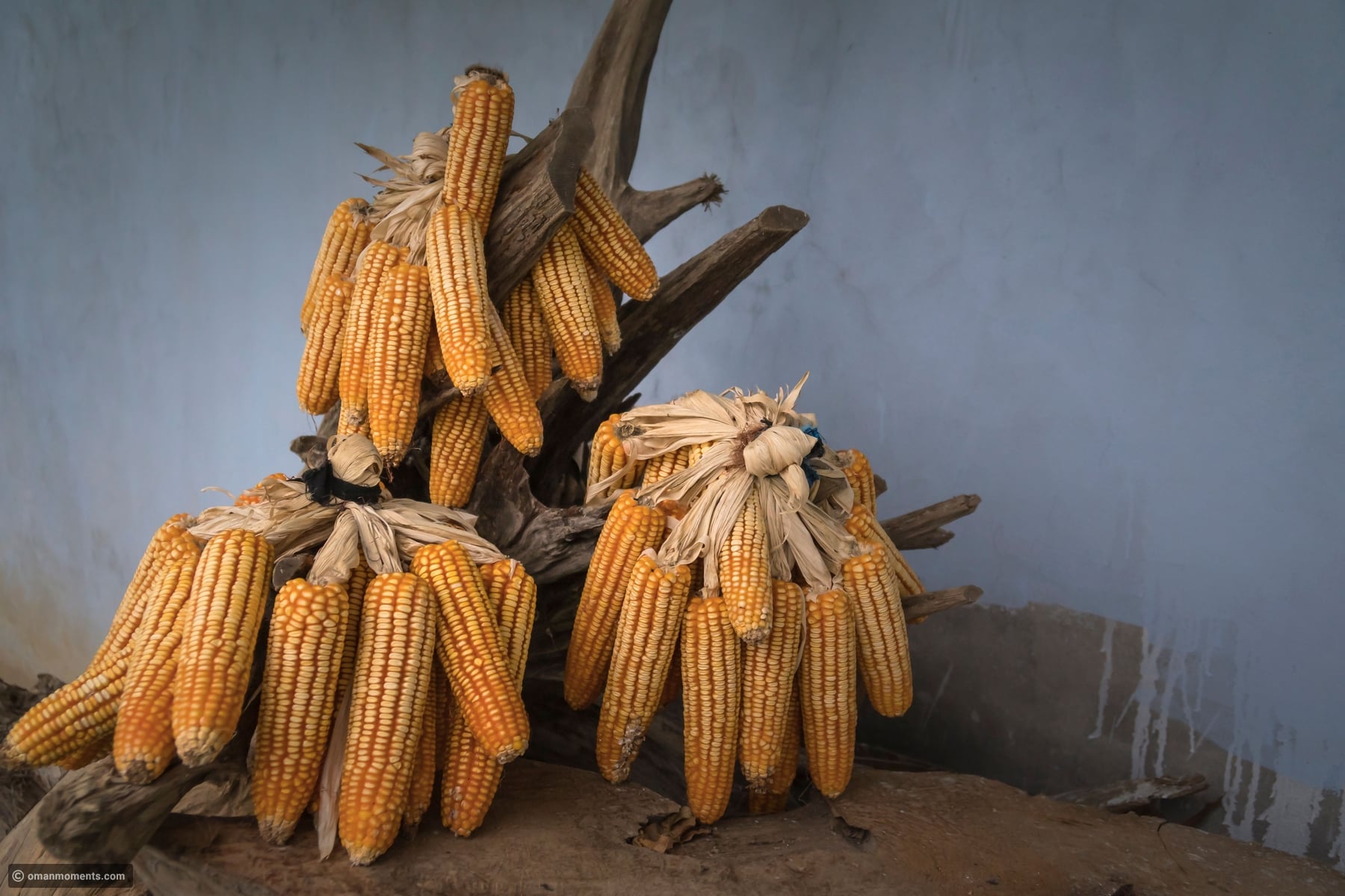 The diverse roots behind America’s food identity
