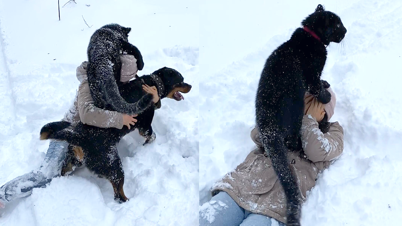 Heartwarming encounter: Girl and leopard cub enjoy snowy day