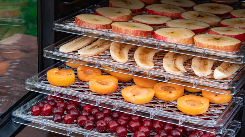 15 interesting foods you should be throwing in the dehydrator