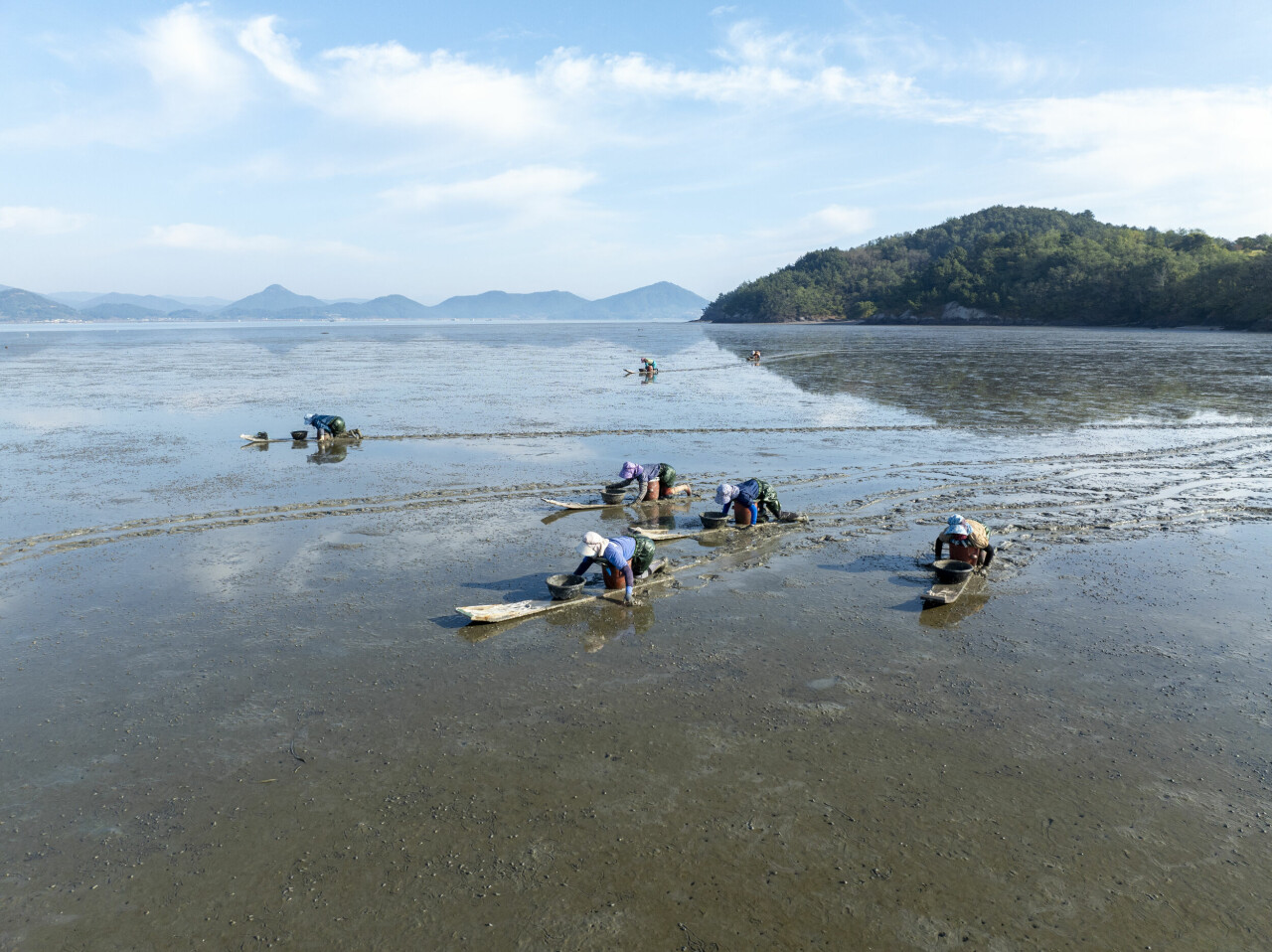 Additional Korean tidal flats likely to join UNESCO World Heritage list ...
